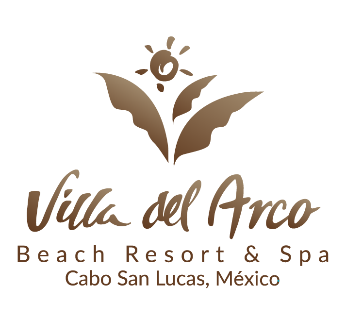Villa La Valencia Beach Resort & Spa Los Cabos | Official Site